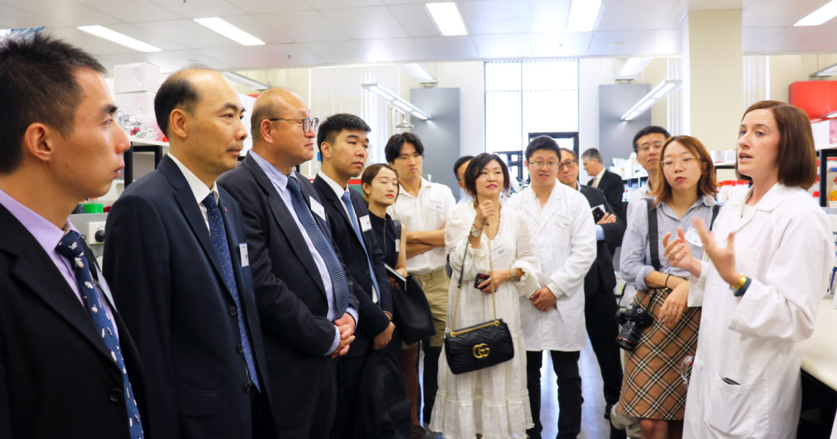 Take a 3D tour of the Institute • Heart Research Institute NZ