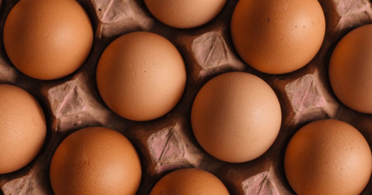 All about protein • Heart Research Institute NZ