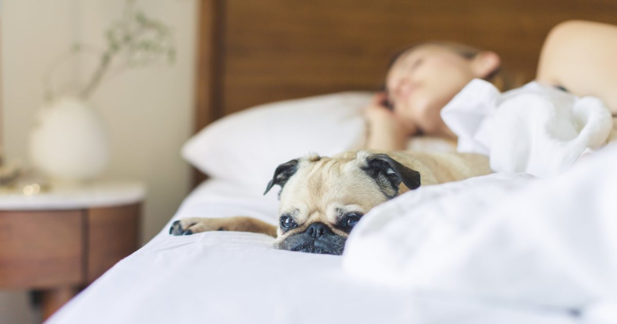 Managing sleep problems • Heart Research Institute UK