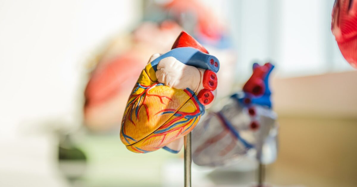 The 12 most common heart and cardiovascular conditions • HRI