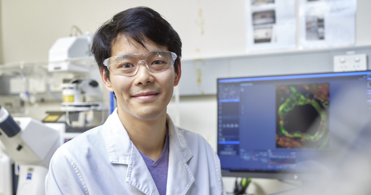PhD student publishes review on atherosclerosis research • HRI