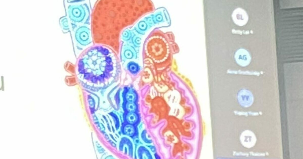 NAIDOC Week at HRI: For our Elders • Heart Research Institute