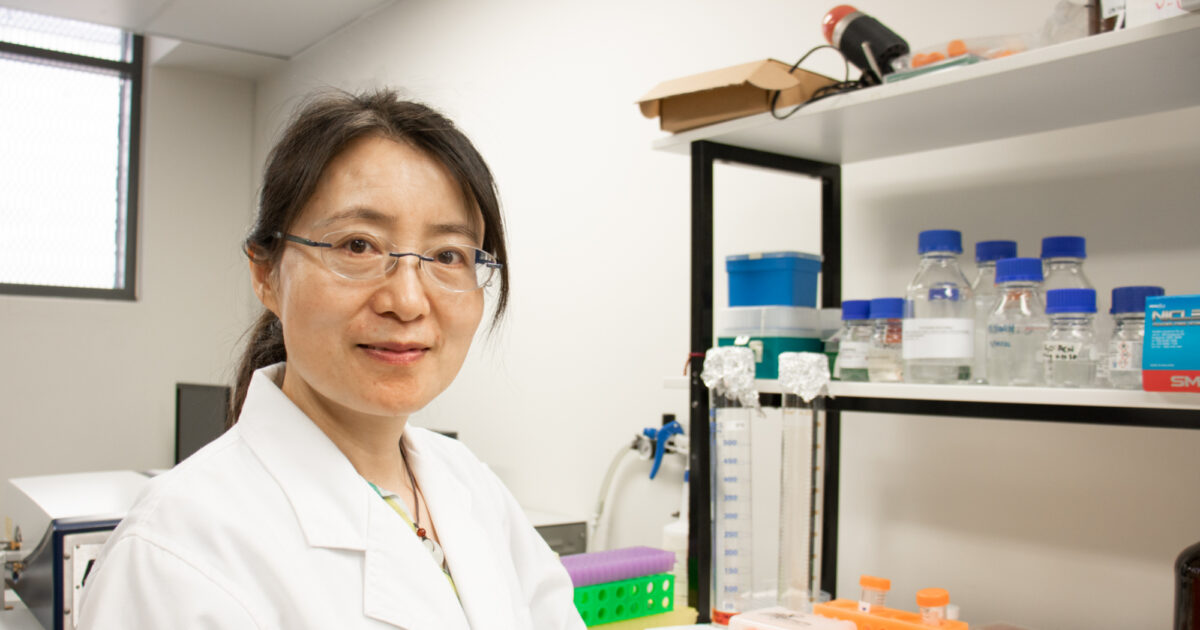 Dr Xiao Suo Wang • Heart Research Institute UK