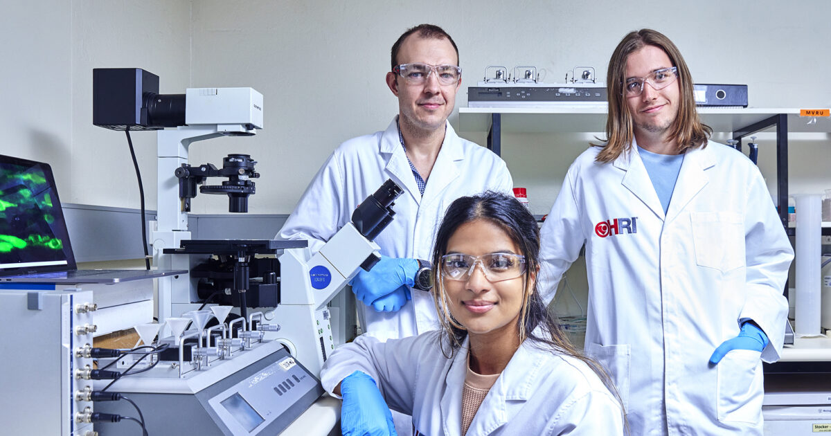 Microvascular Research • Heart Research Institute